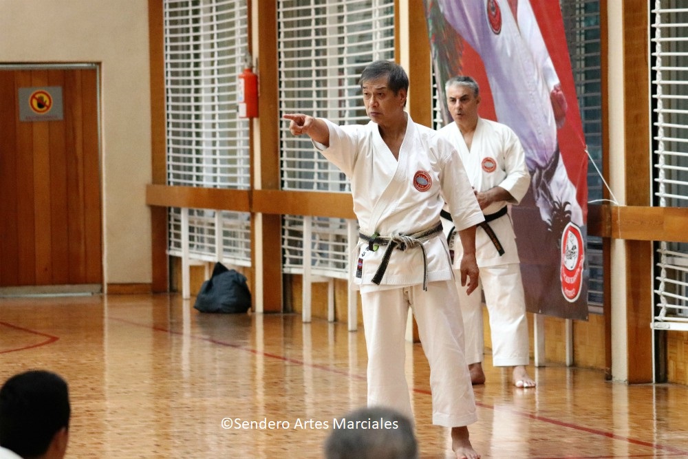Espíritu del Budo presente en Seminario de Karate-Do WSKF con Sensei ...
