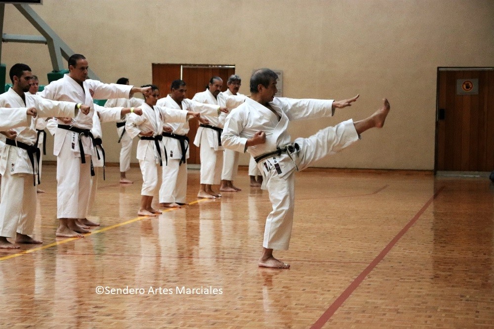 La práctica del karate-do debe evolucionar para lograr la superación ...