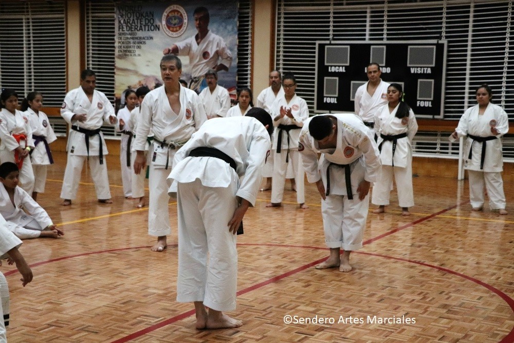 La práctica del karate-do debe evolucionar para lograr la superación ...