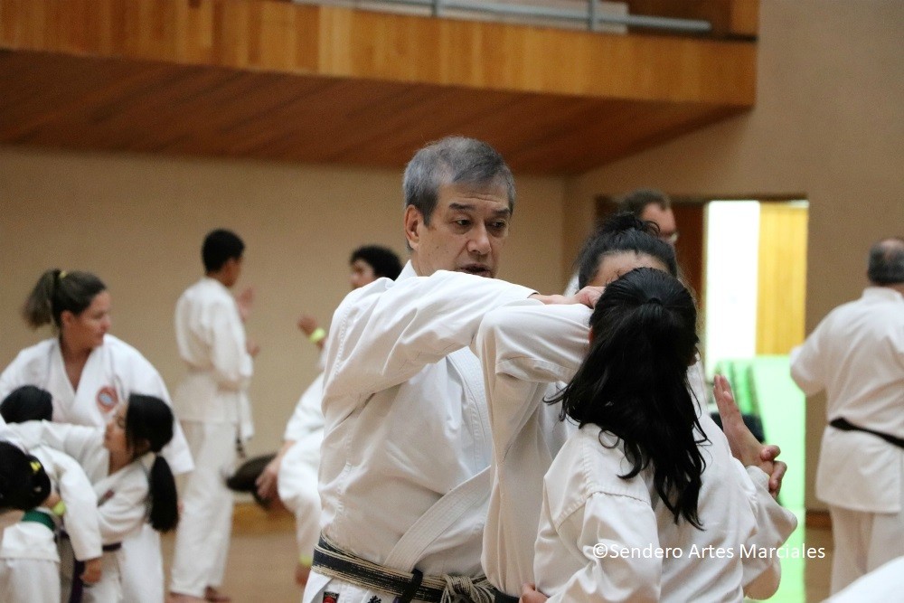 La práctica del karate-do debe evolucionar para lograr la superación ...