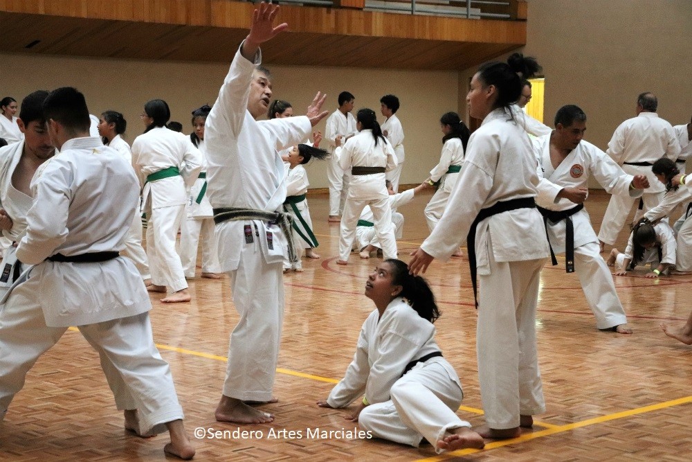 La práctica del karate-do debe evolucionar para lograr la superación ...