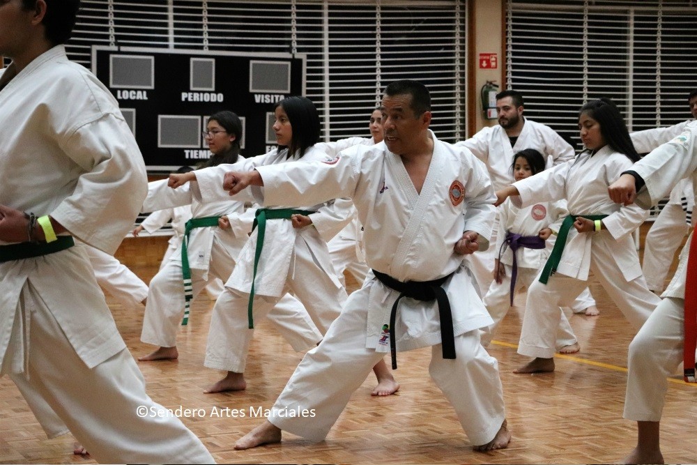 La práctica del karate-do debe evolucionar para lograr la superación ...