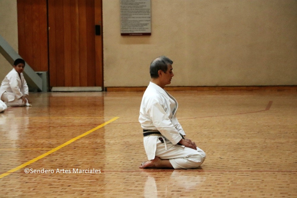 La práctica del karate-do debe evolucionar para lograr la superación ...