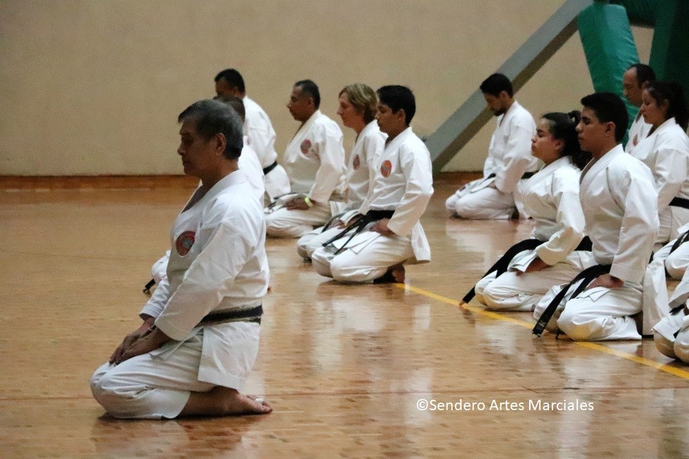 La práctica del karate-do debe evolucionar para lograr la superación ...
