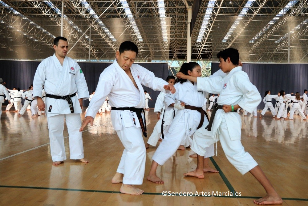 El Karate-Do es para toda la vida y México va por buen camino: Máster ...