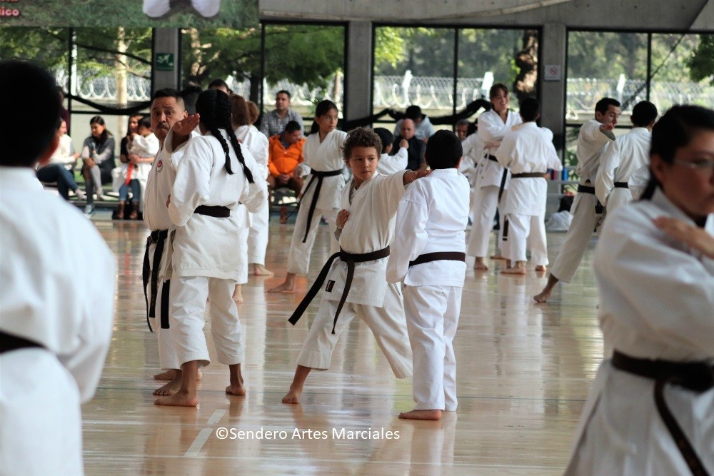 El Karate-Do es para toda la vida y México va por buen camino: Máster ...