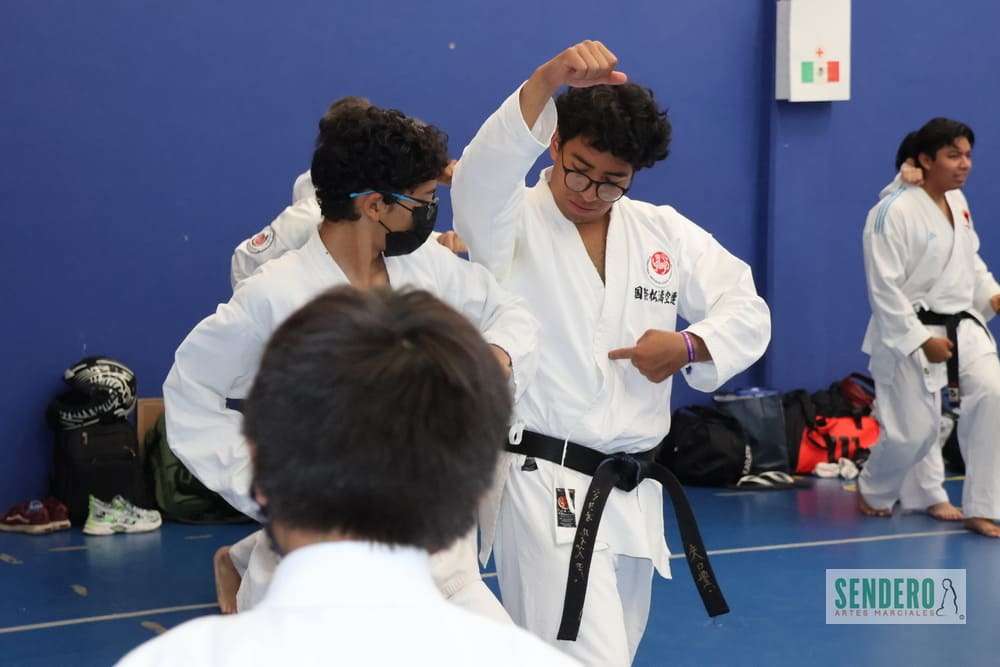 La tradición del Karate Shotokan en ‘Seminario Nacional ISKF 2022’, con ...