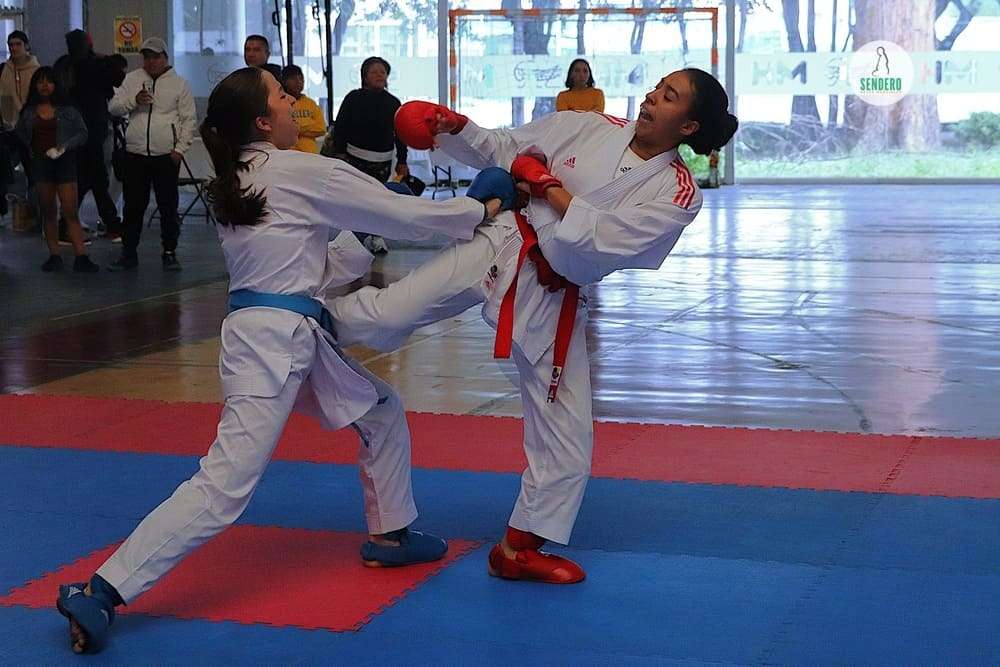 Emociones y gran nivel de competencias de Karate-Do en “Copa Akari ...