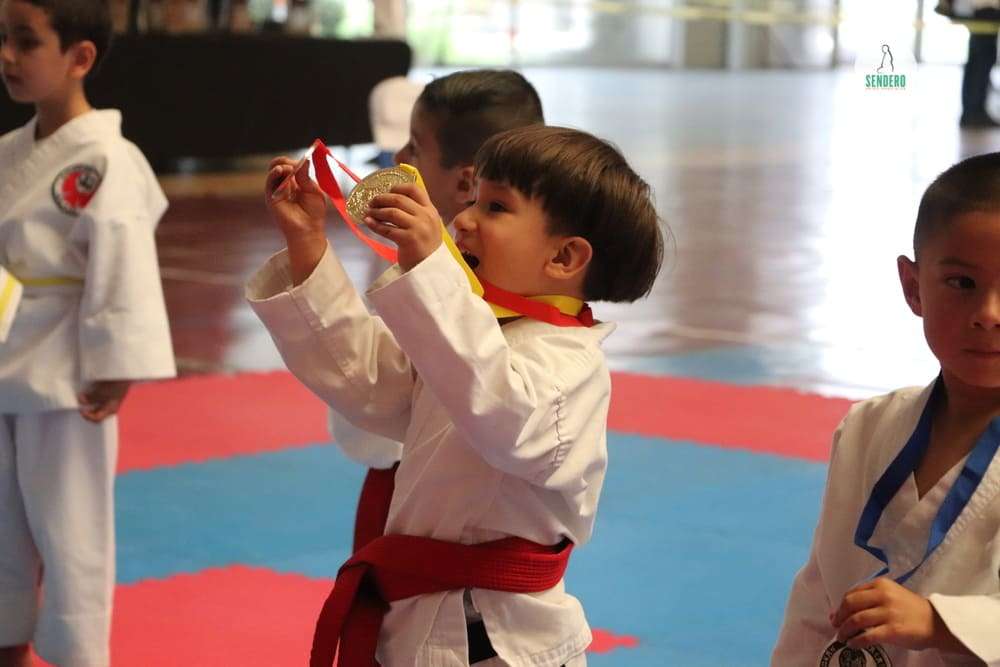 Emociones y gran nivel de competencias de Karate-Do en “Copa Akari ...
