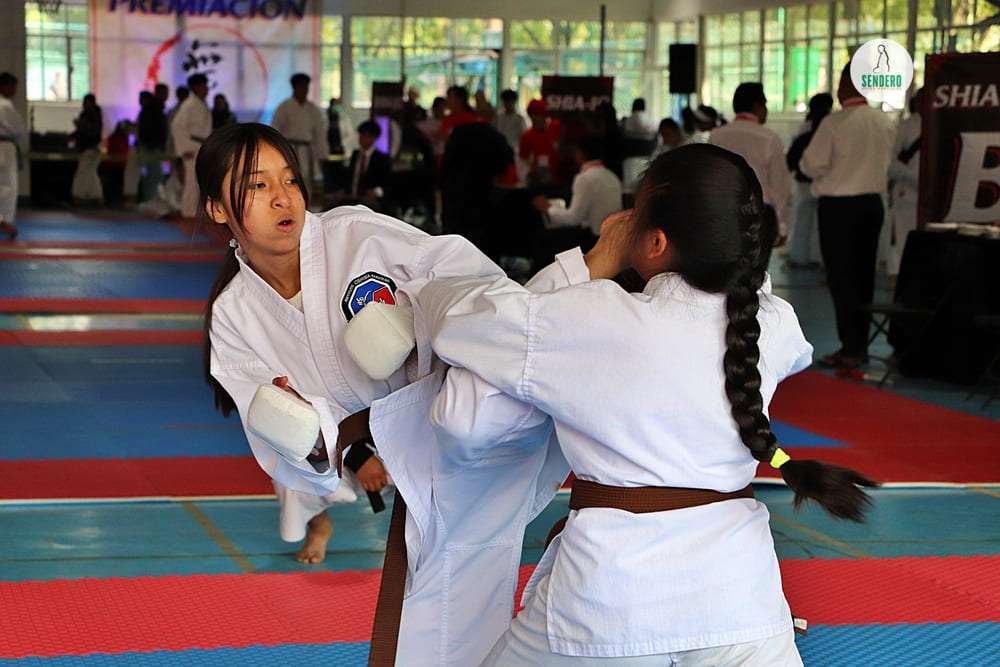 El Karate tradicional hizo vibrar a Villa Olímpica con el 4° Campeonato ...