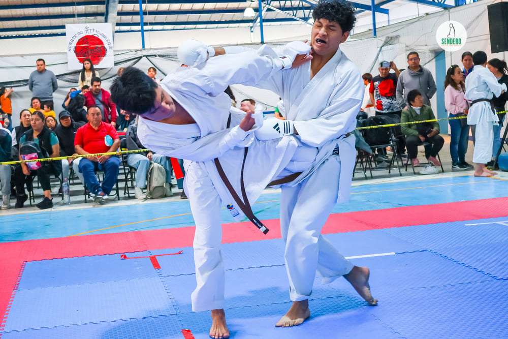 El Karate tradicional hizo vibrar a Villa Olímpica con el 4° Campeonato ...