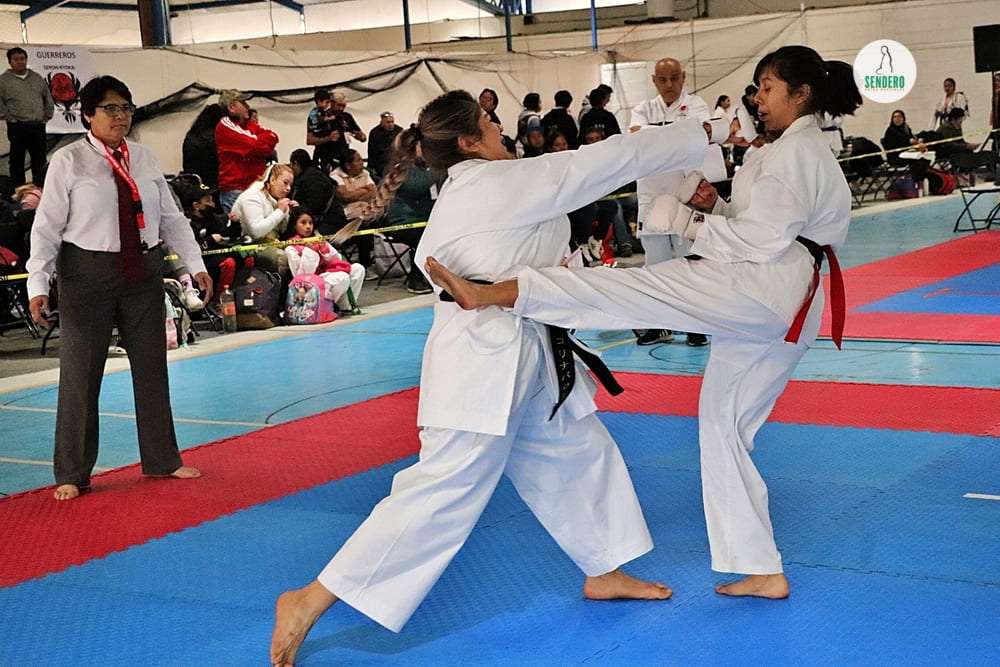 El Karate tradicional hizo vibrar a Villa Olímpica con el 4° Campeonato ...
